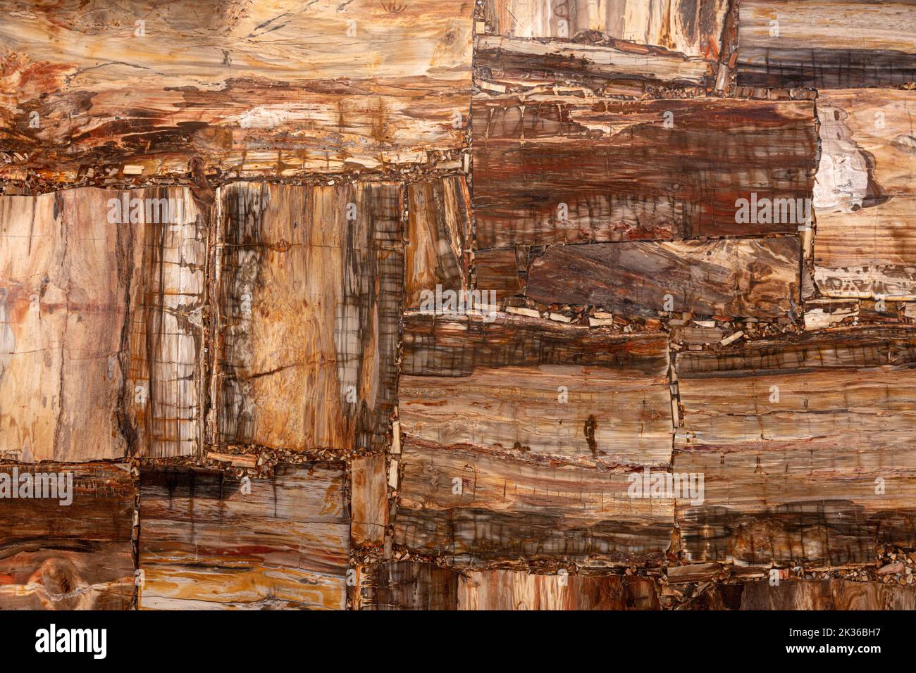 Petrified wood texture slab. Semiprecious matt gemstone stone for ...