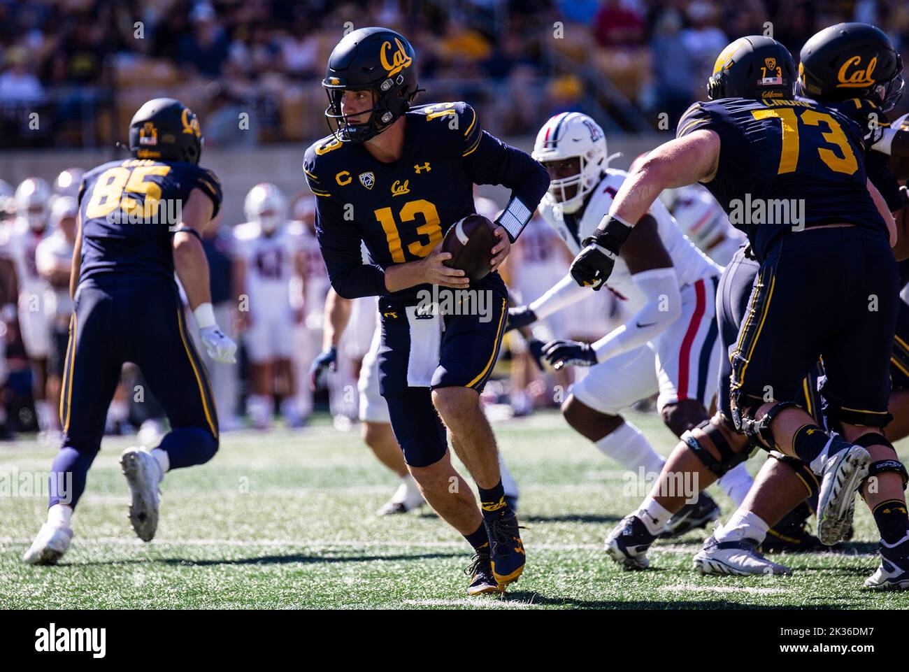 2022 0266 jpg hi-res stock photography and images - Alamy