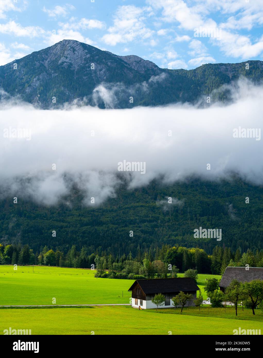 Austrian Alps and beautiful meadow with small farm hut. Morning weather ...