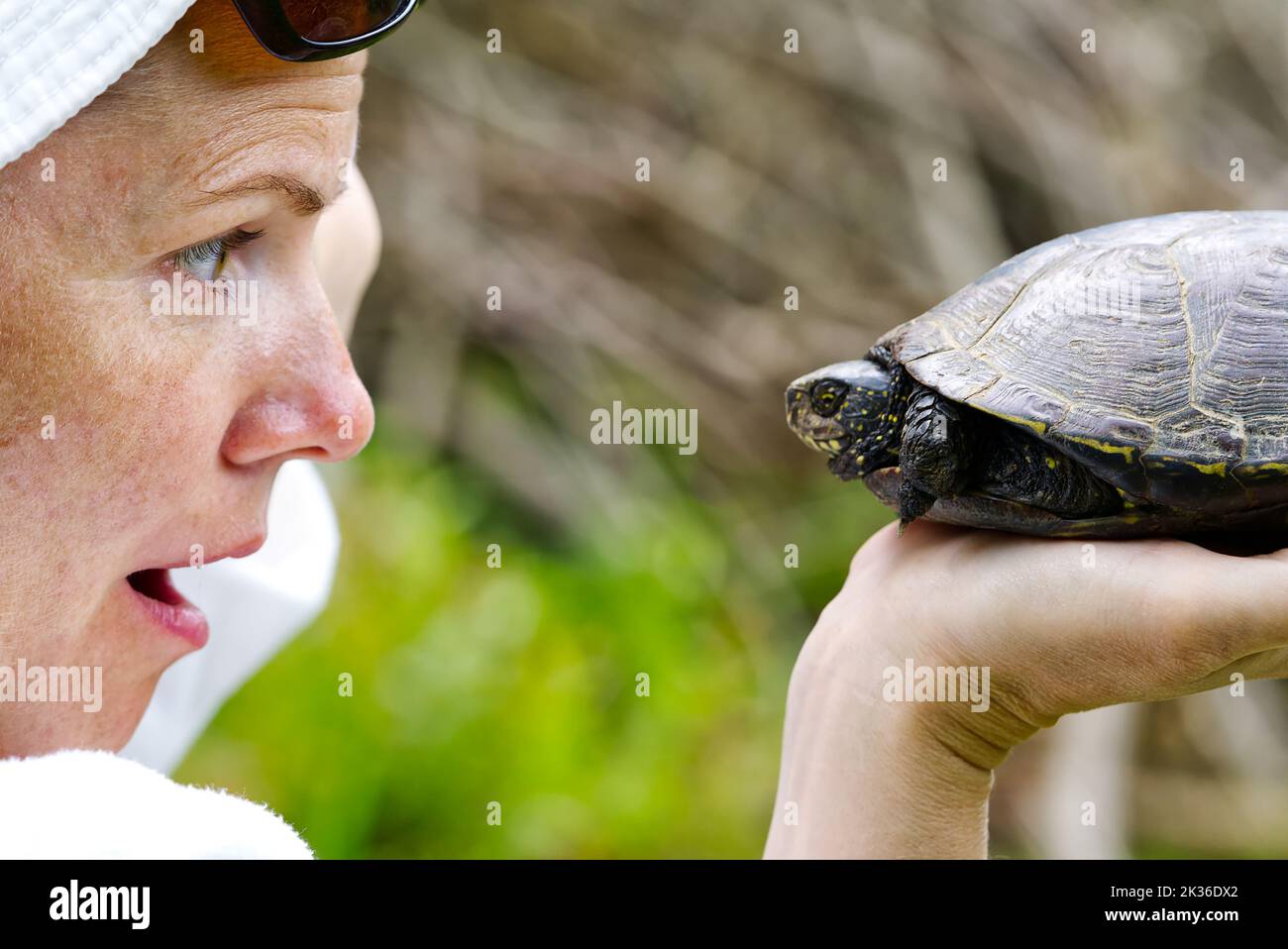 Woman hold turtle hi-res stock photography and images - Alamy
