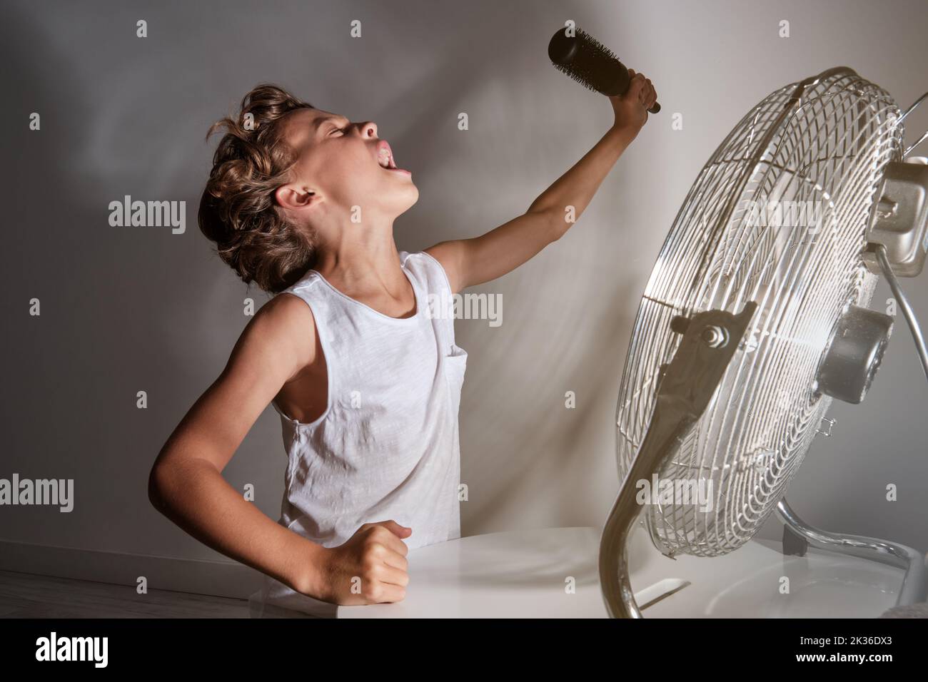 Fan brush hi-res stock photography and images - Alamy