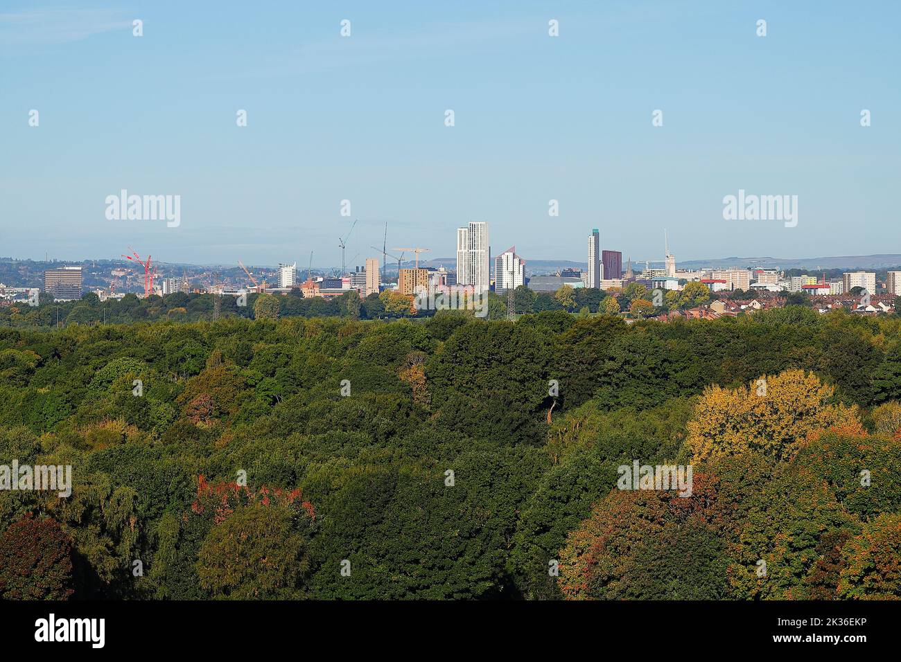 A view of Leeds City skyline with tower cranes on construction sites ...