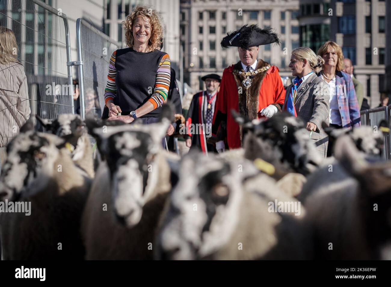 London, UK. 25th September, 2022. Sheep Drive across London Bridge ...