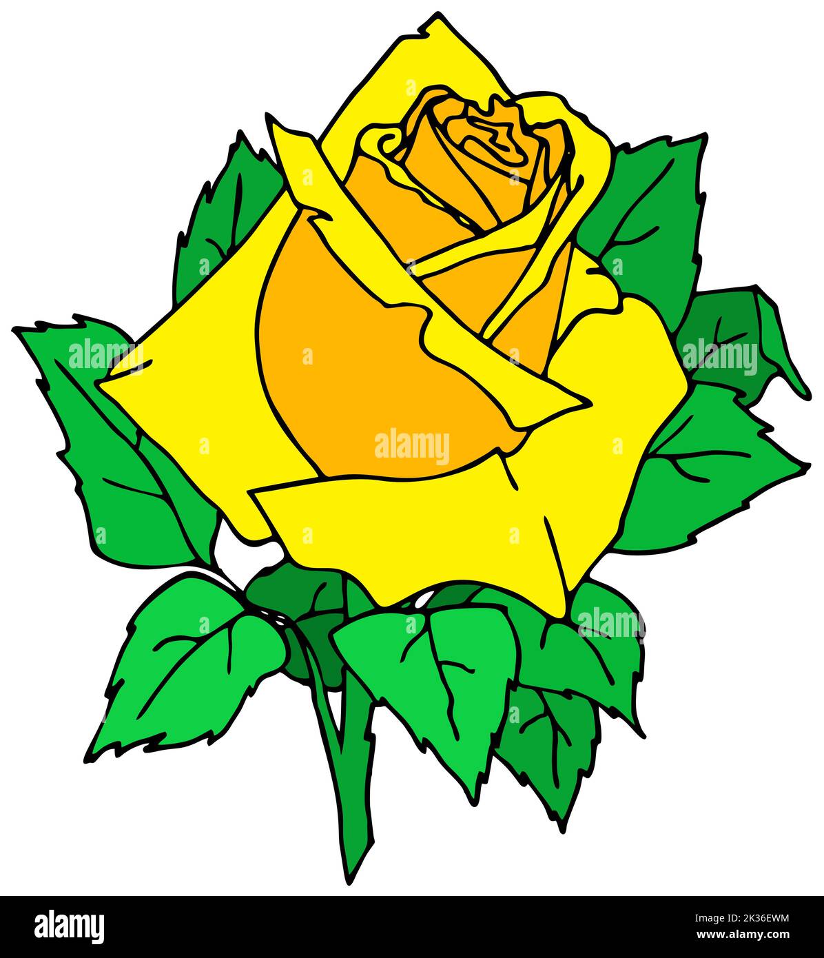 drawing rose branch with yellow flower and leaves, isolated element ...