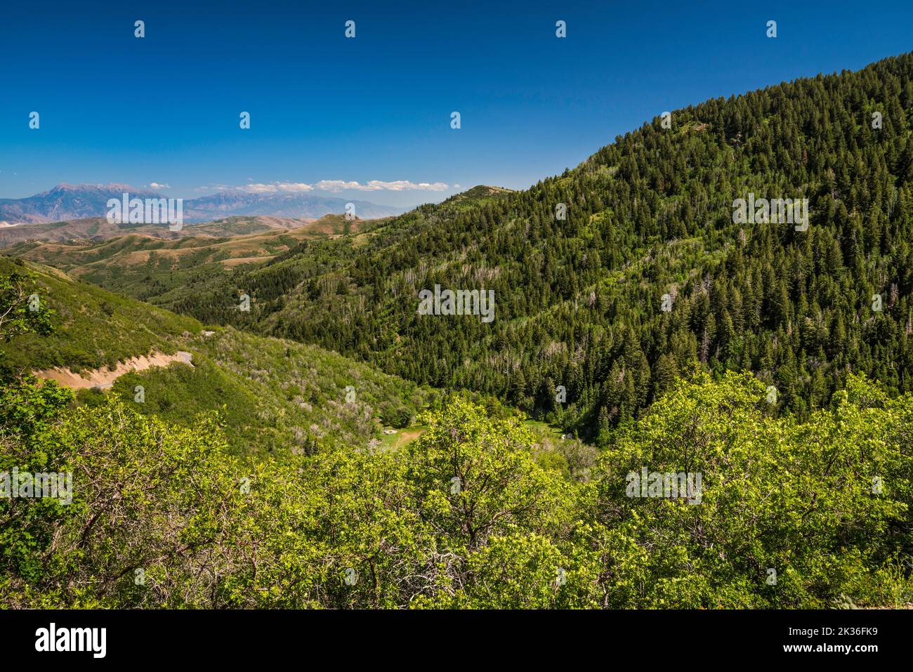 Butterfield Canyon, near Kennecott Copper Mine, Oquirrh Mountains, near ...