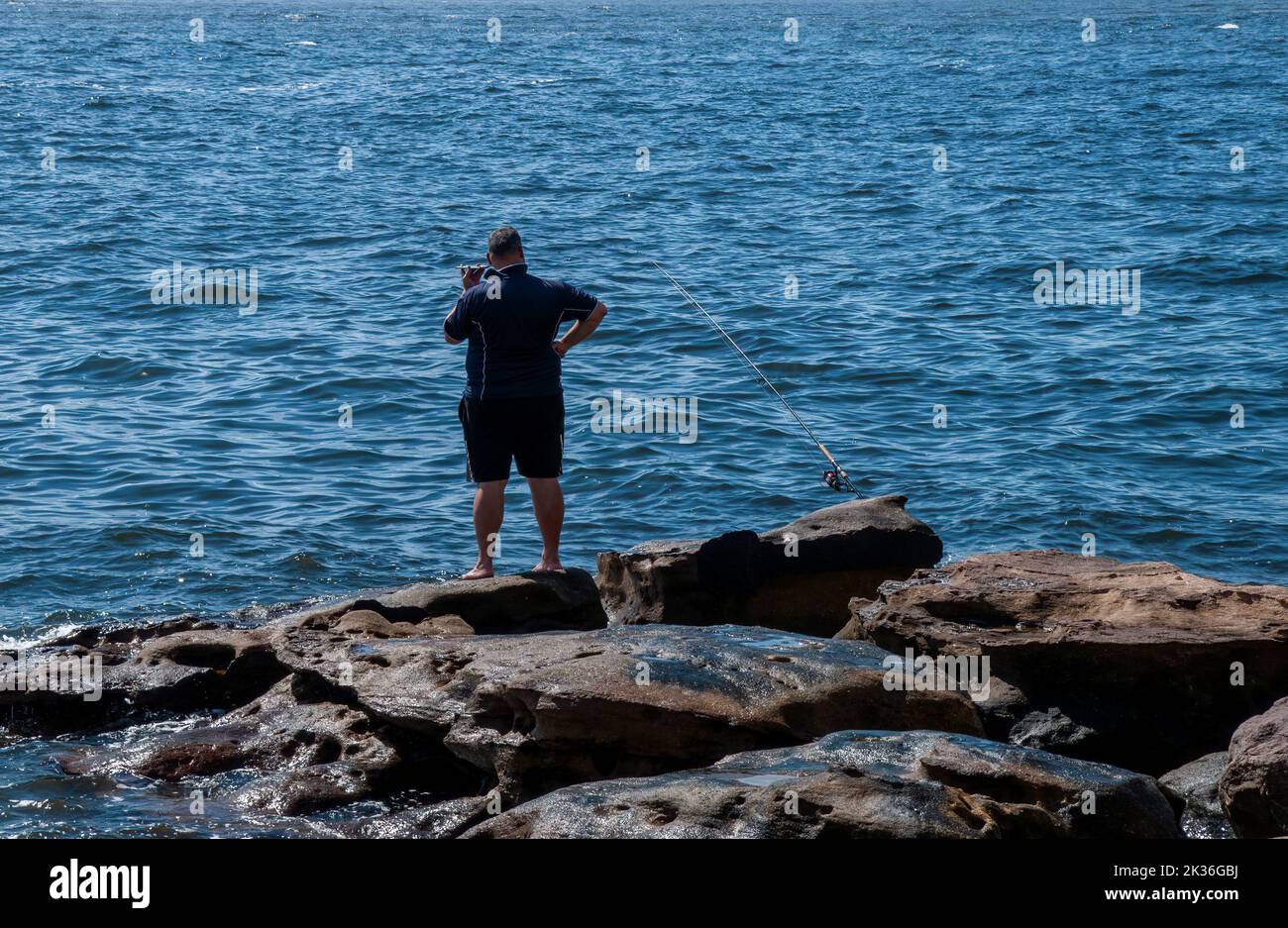 Sydney Australia, man fishing from rocks while using mobile phone Stock ...
