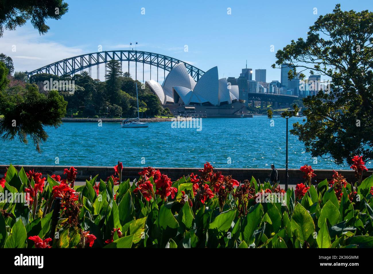 Sydney Australia, view across farm cove to opera house and harbour bridge Stock Photo - Alamy