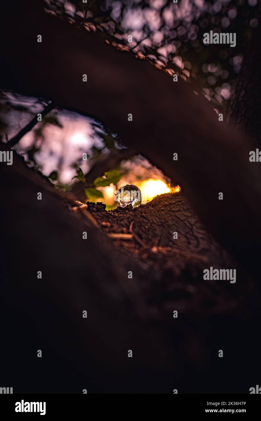 A crystal ball in a forest with revealed roots during sunset Stock ...