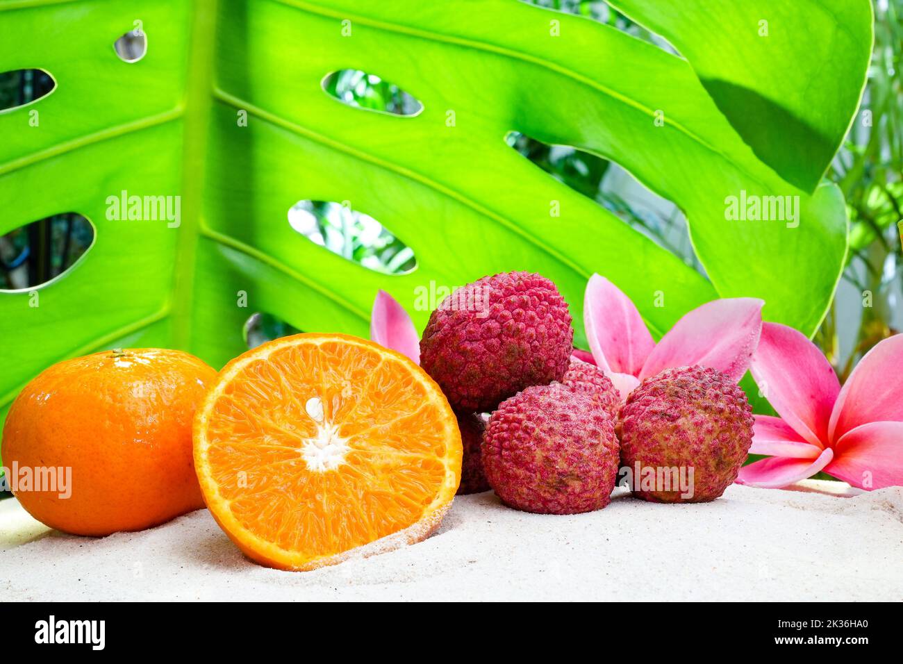 A fresh lychee and cut orange on the background of green plant leaf ...
