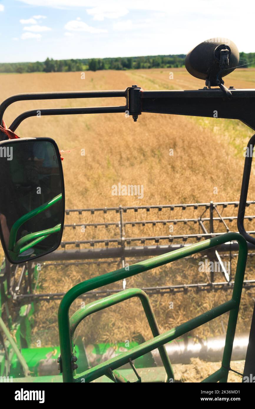 Harvesting process from unusual perspective. Vertical shot from combine ...