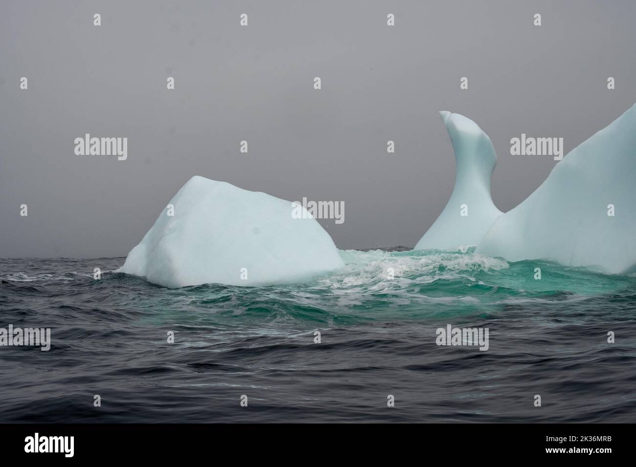 Iceberg floating off coast of Newfoundland, Canada Stock Photo - Alamy