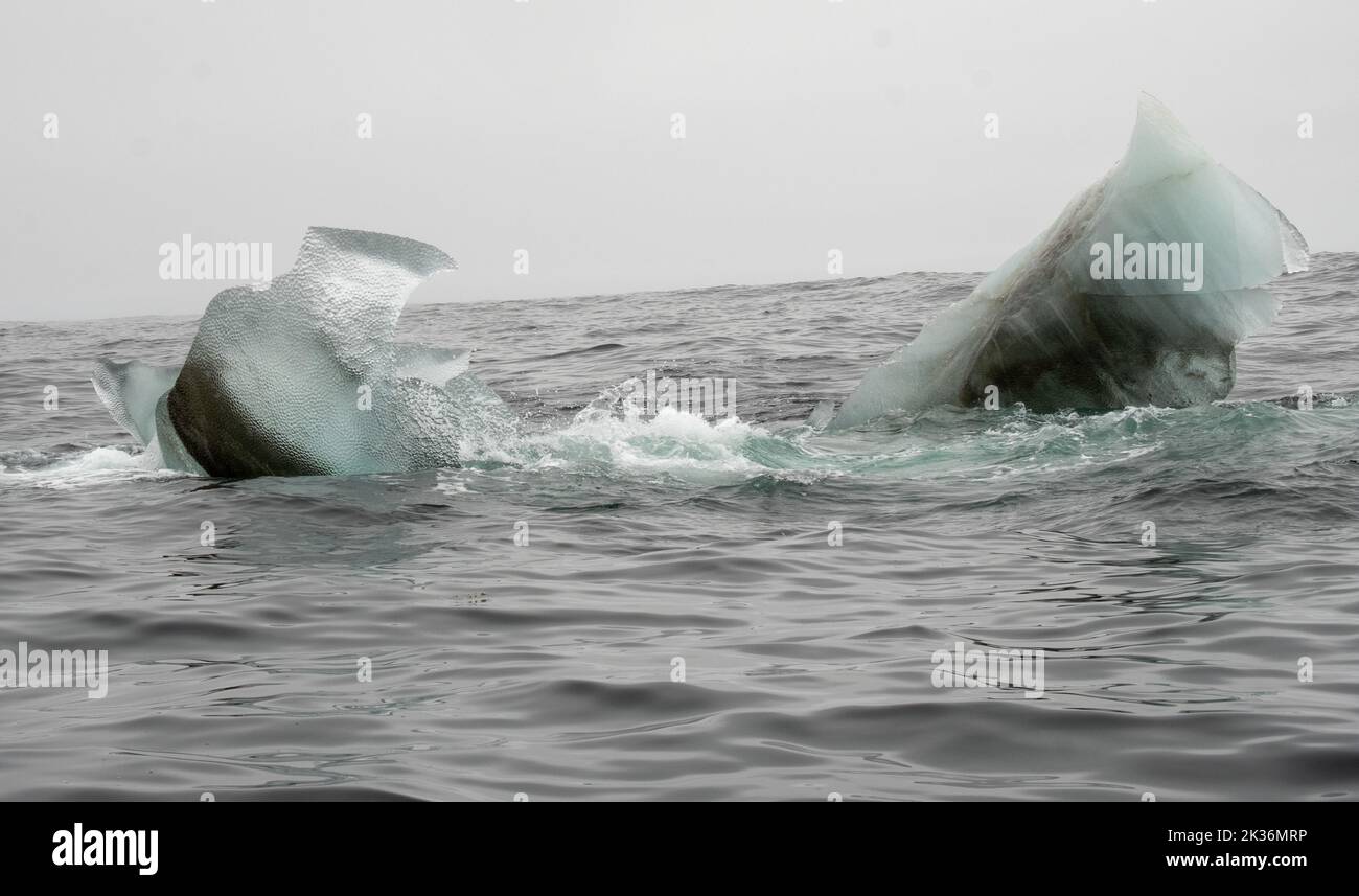 Iceberg floating off coast of Newfoundland, Canada Stock Photo - Alamy