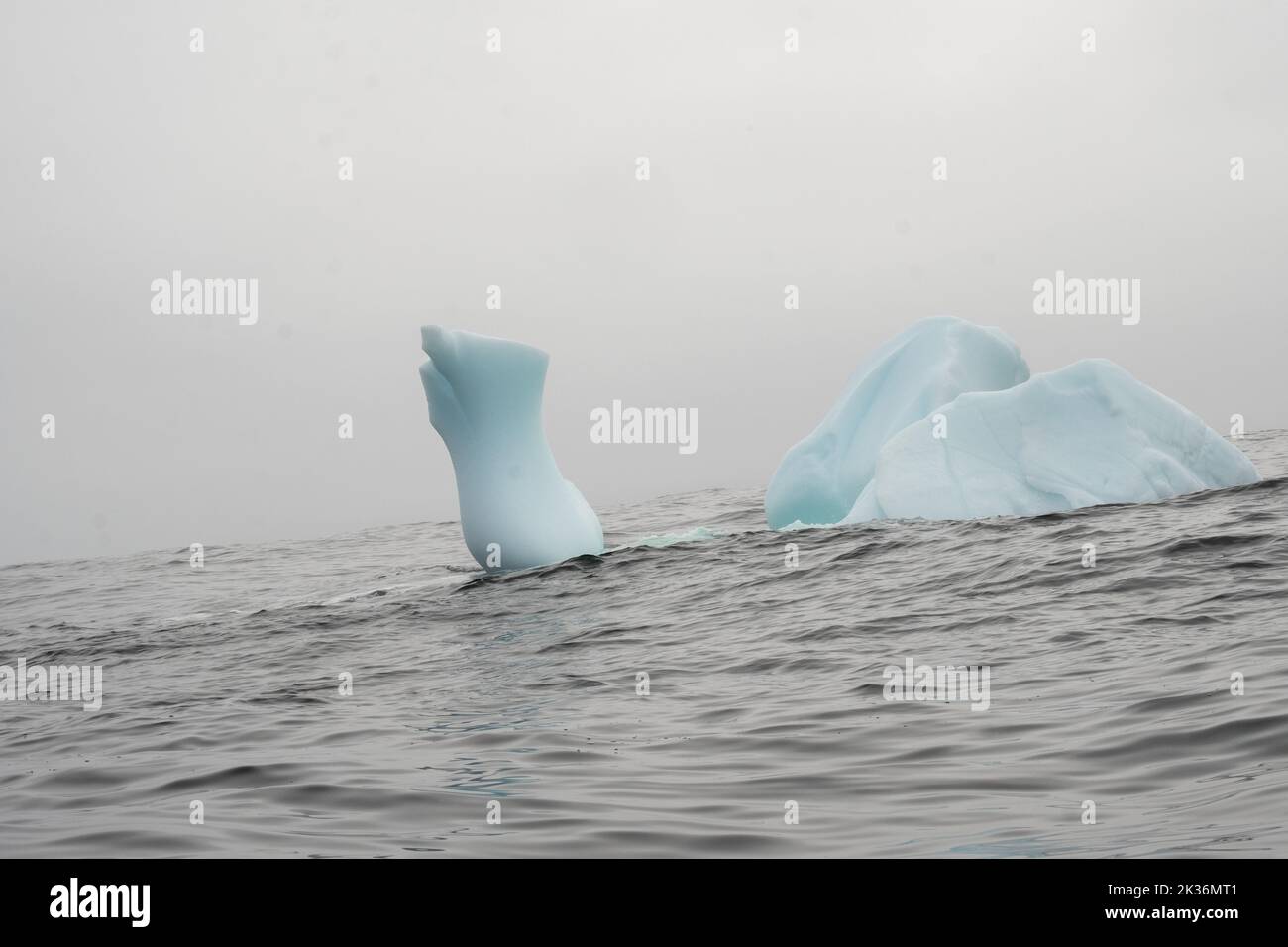 Iceberg floating off coast of Newfoundland, Canada Stock Photo - Alamy