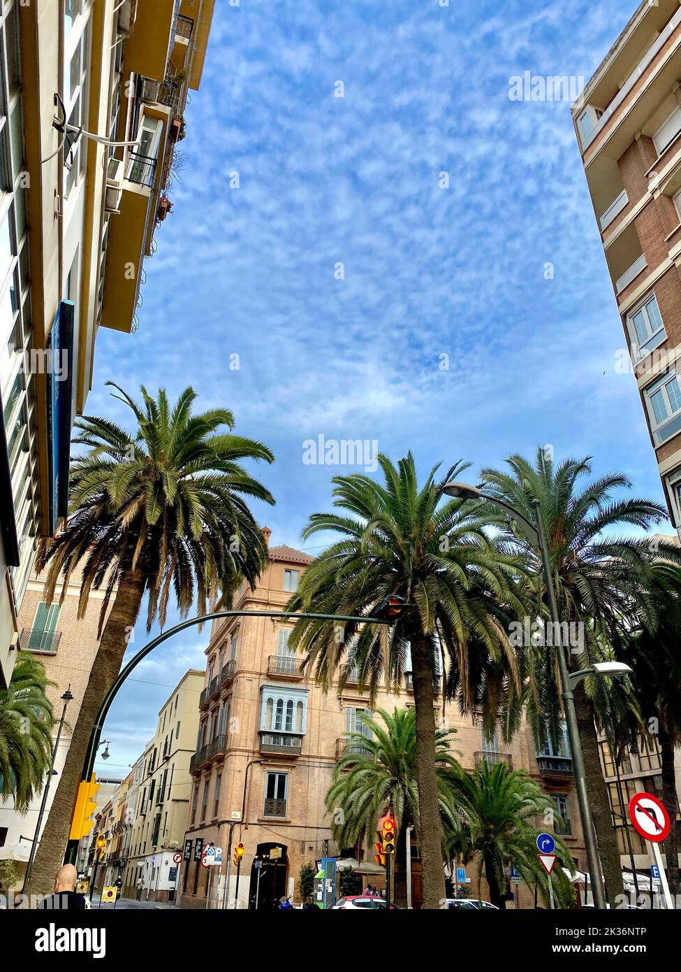 palms, beautiful buildings and blue sky in Malaga, Andalusia, Spain ...