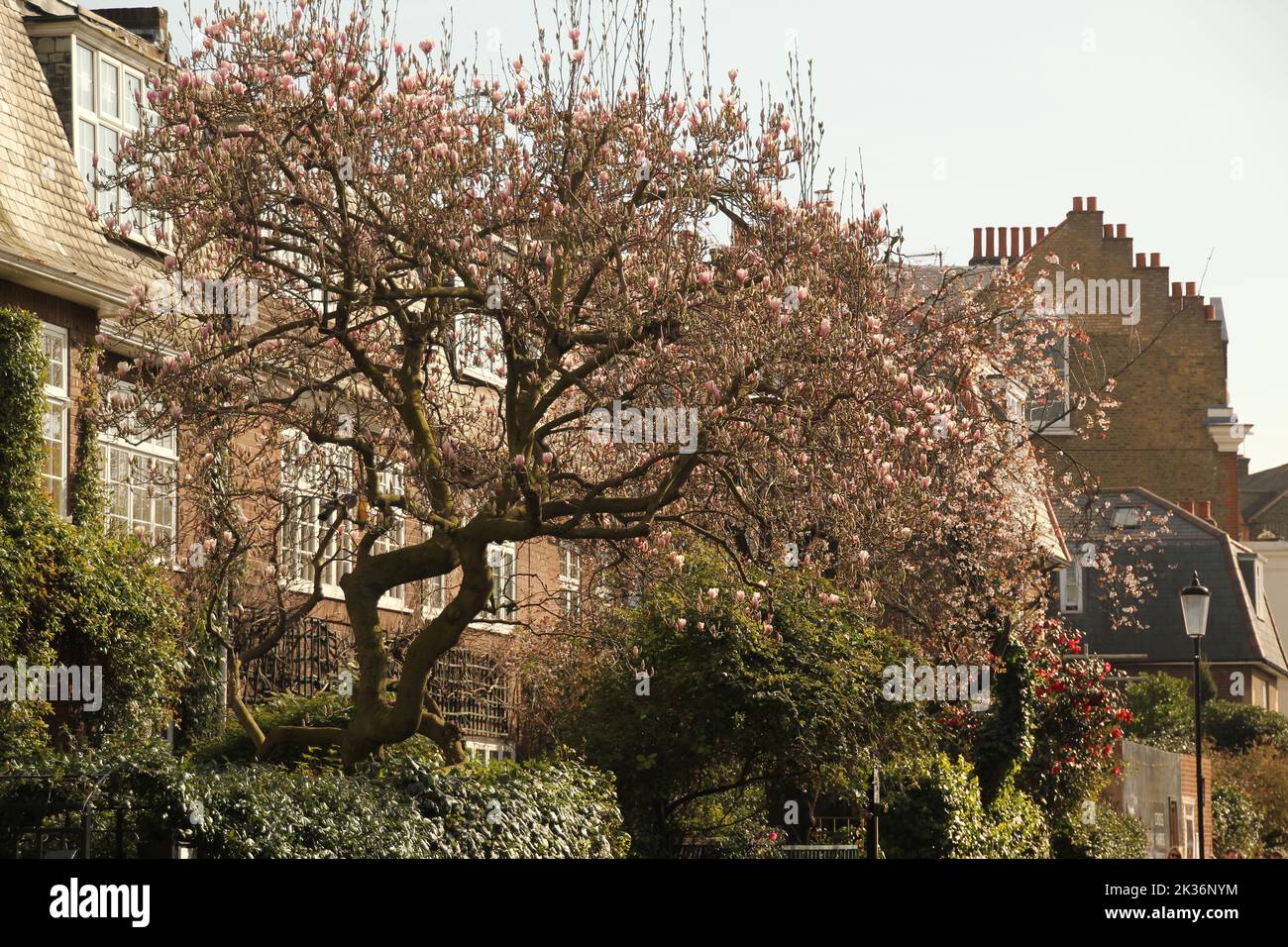 House building leaf life hi-res stock photography and images - Alamy