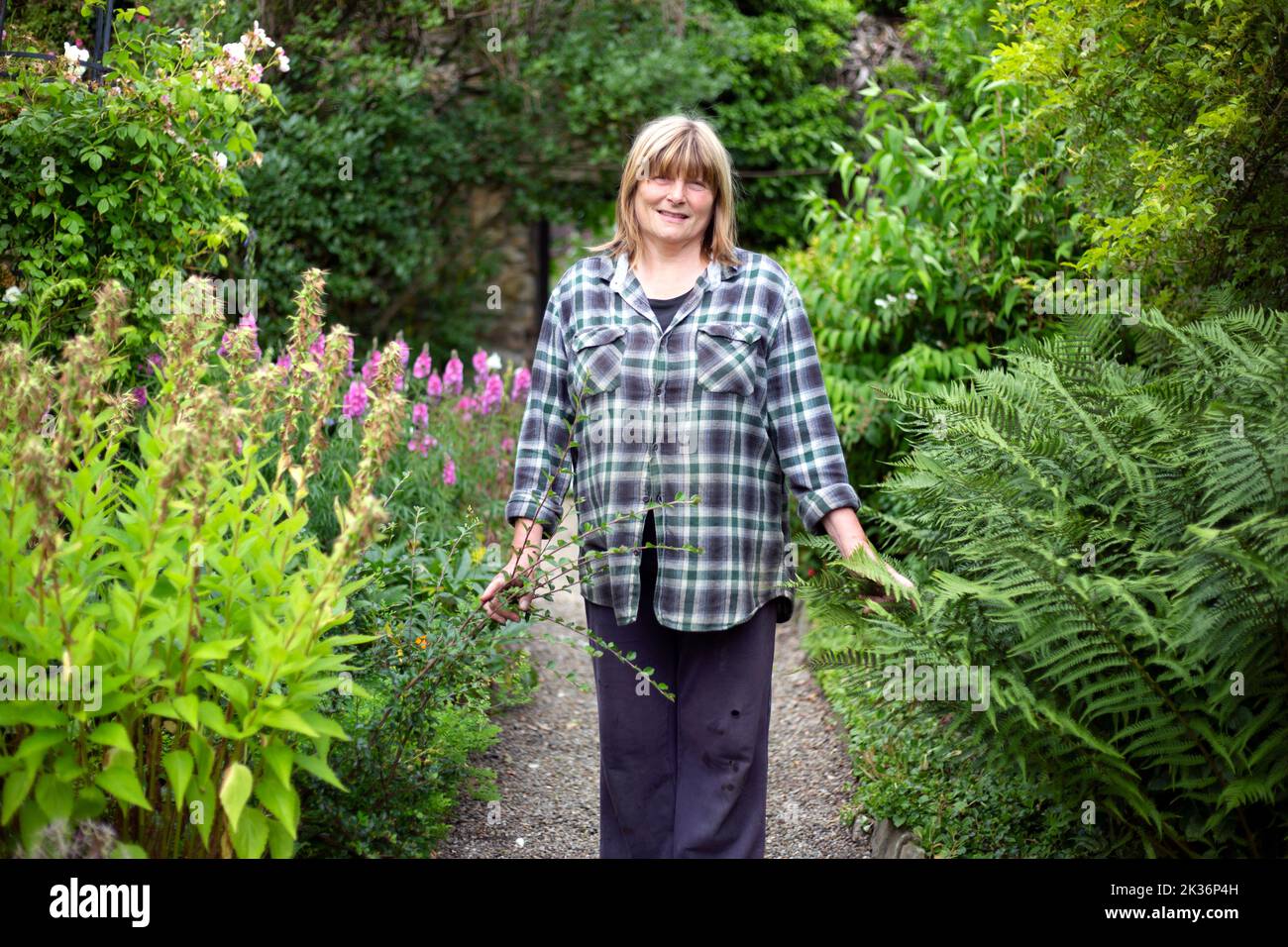 The secret garden 2020 hi-res stock photography and images - Alamy