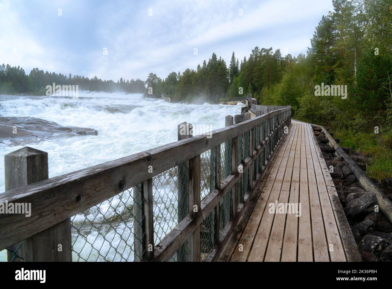 Storforsen, wild, huge waterfall on the Pite River in Swedish arctic on ...