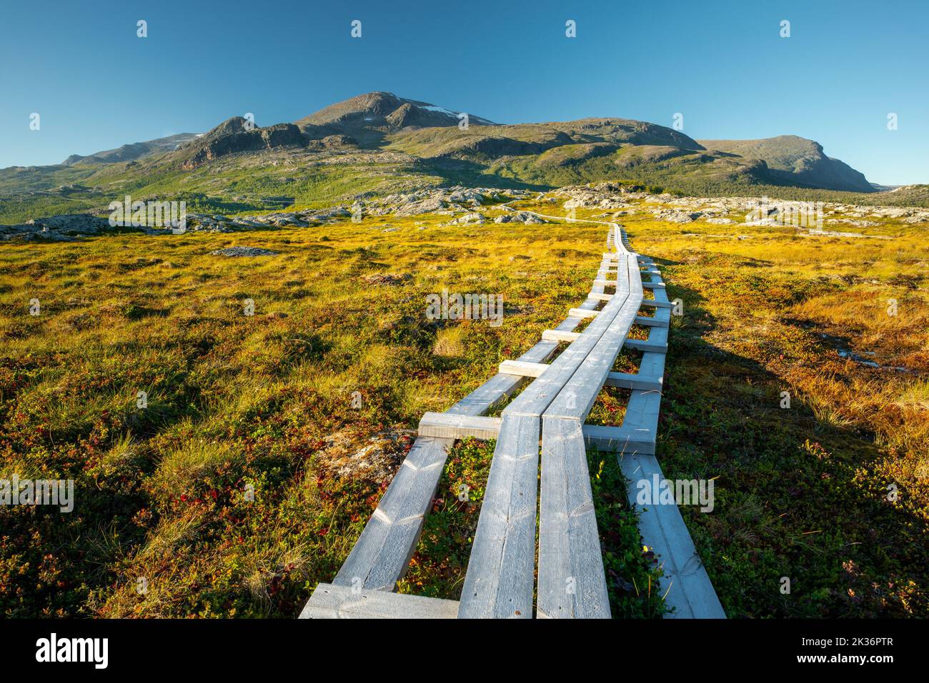 Wooden walk leading across marshlands to Nieras massive in the Stora ...