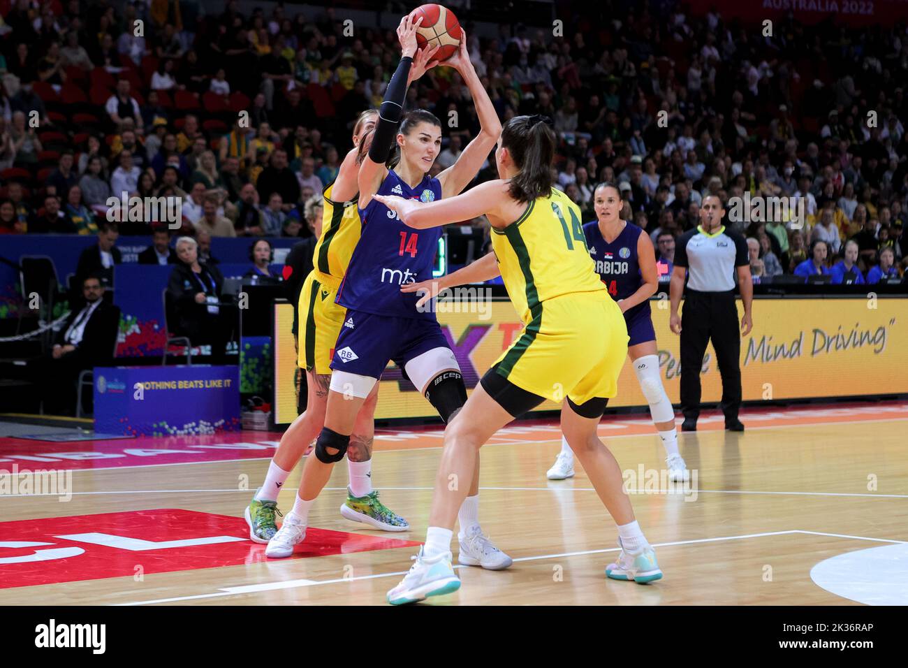 Dragana hi-res stock photography and images - Alamy