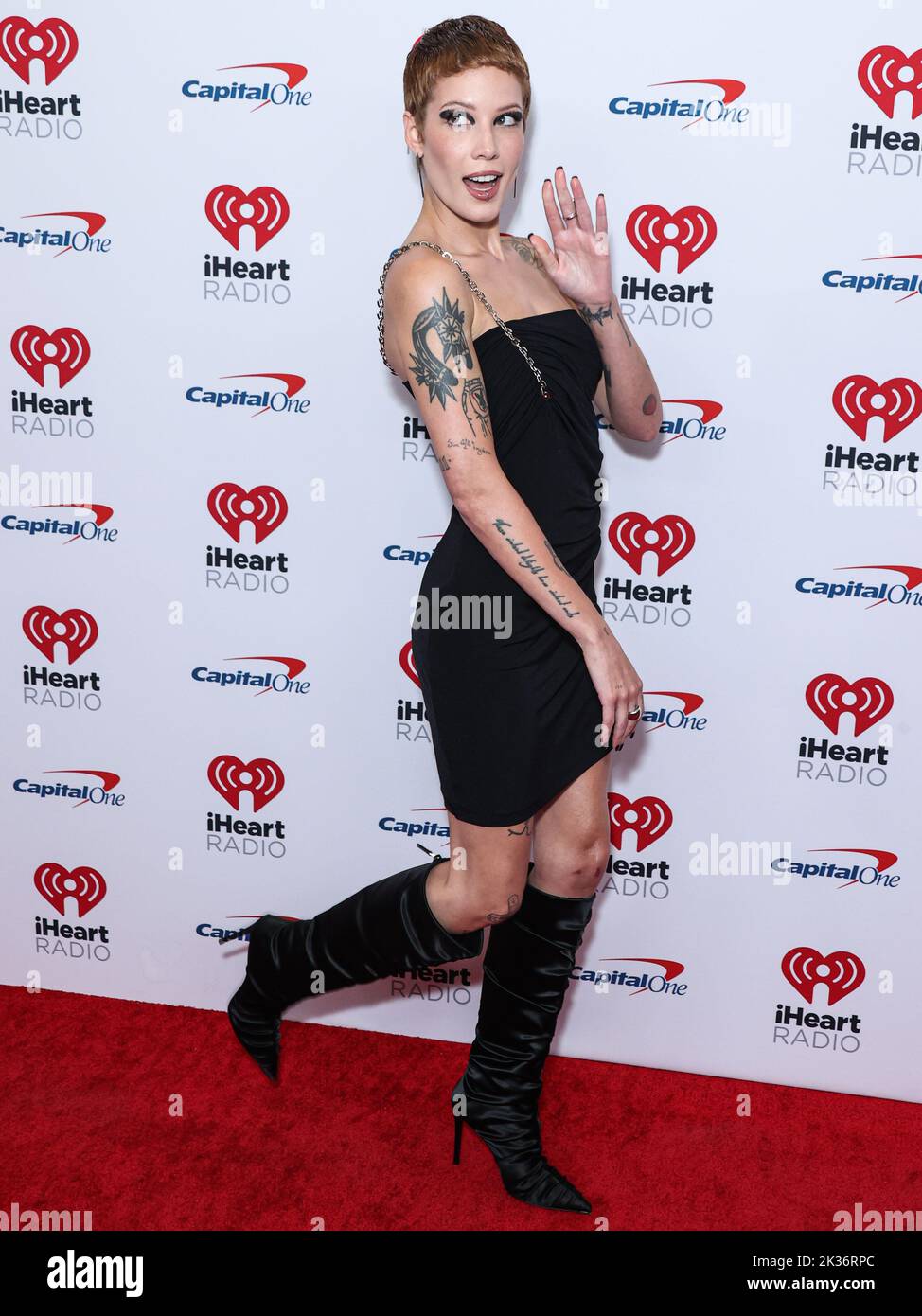 LAS VEGAS, NEVADA, USA - SEPTEMBER 24: Halsey (Ashley Nicolette ...