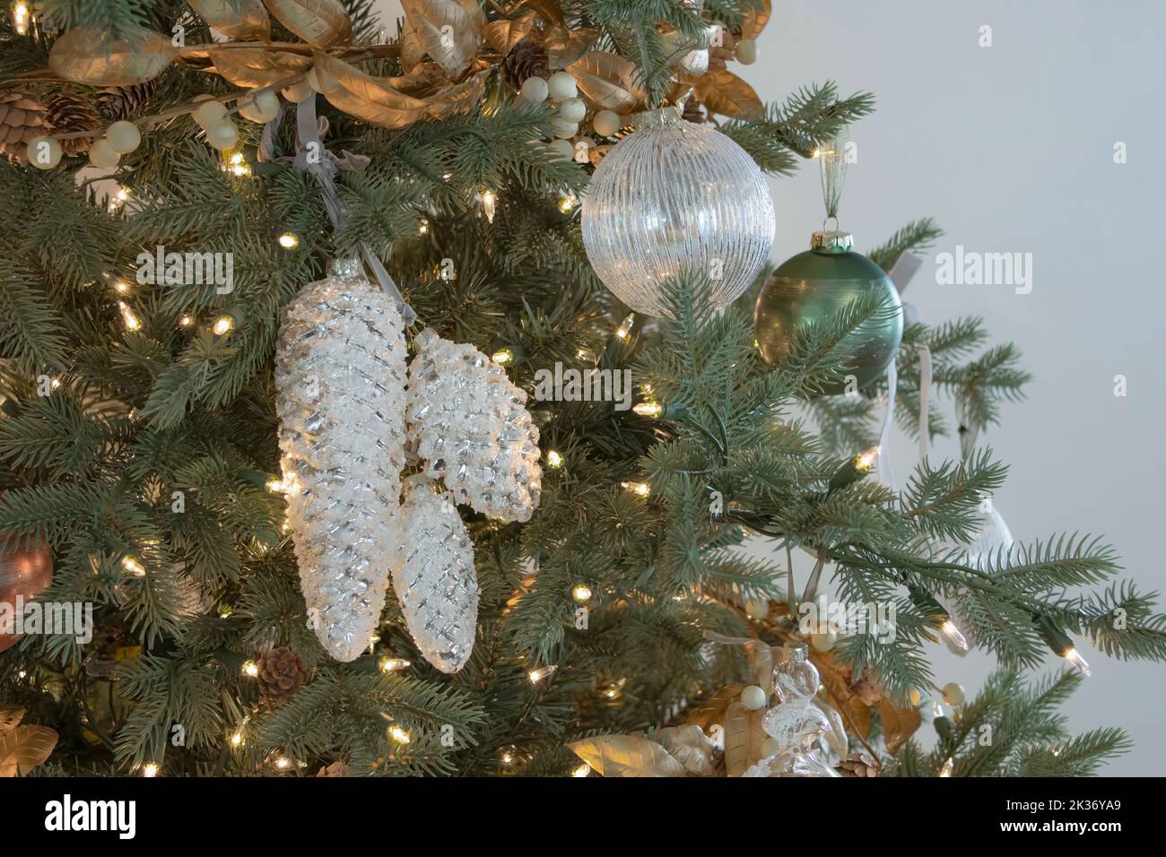 Tree profile hi-res stock photography and images - Alamy