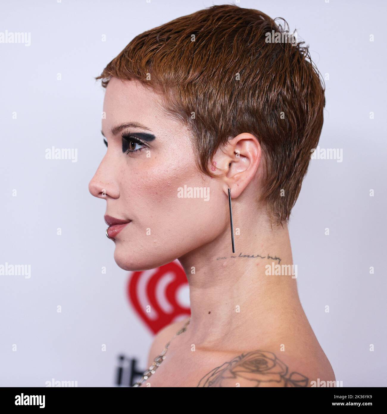 LAS VEGAS, NEVADA, USA - SEPTEMBER 24: Halsey (Ashley Nicolette ...