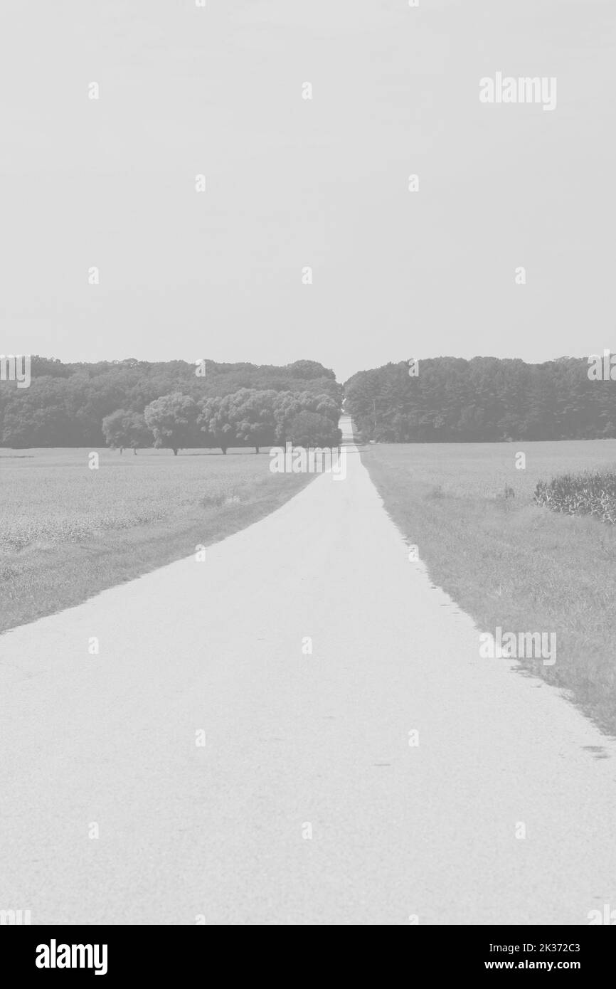 A rural country road going straight into the horizon in a faded black ...