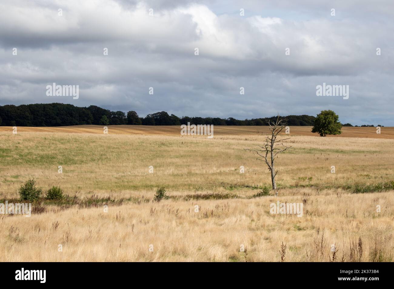 Farmlands in Danish countryside. Landscape photography in autumn Stock ...