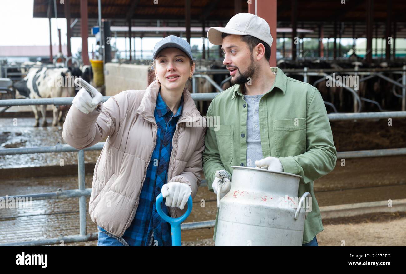 Man and woman dairy farm workers talking at cow barn Stock Photo - Alamy
