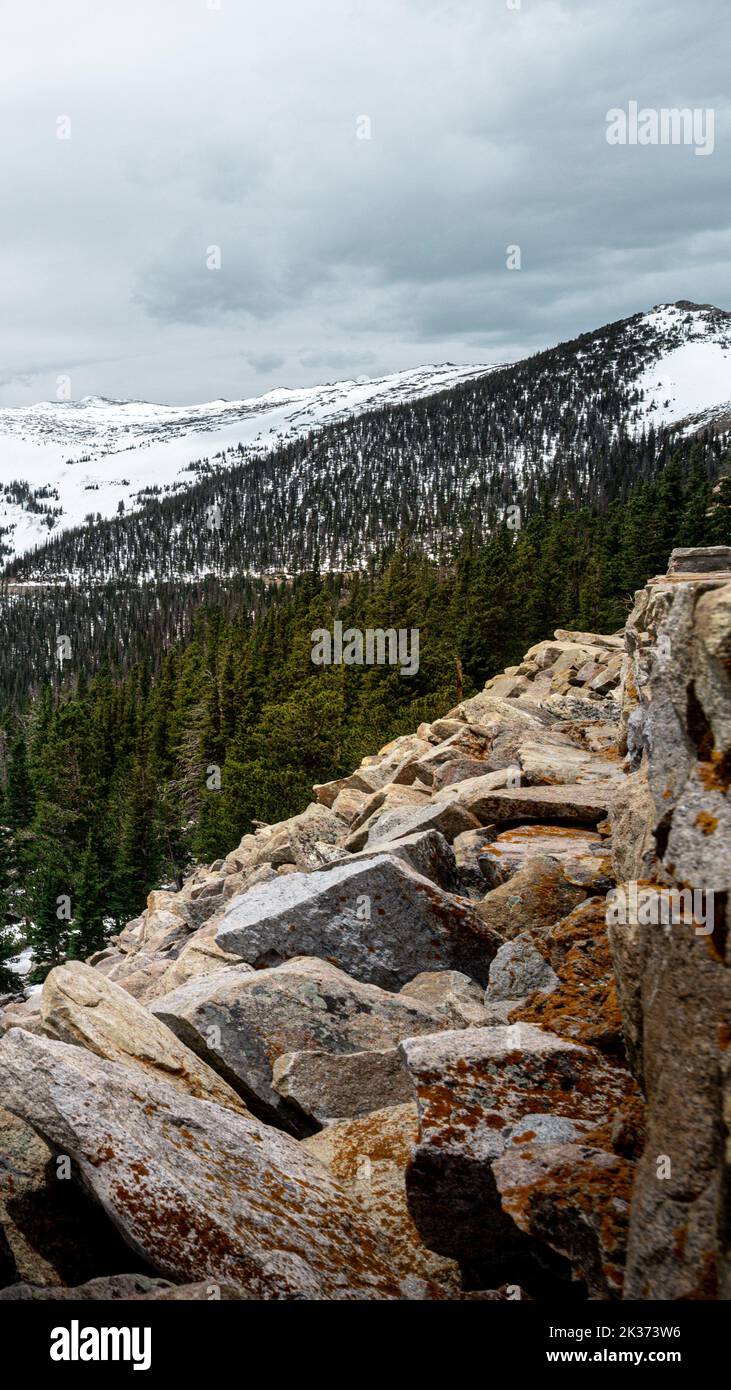 The trees on the valley with a mountain top covered with snow Stock ...