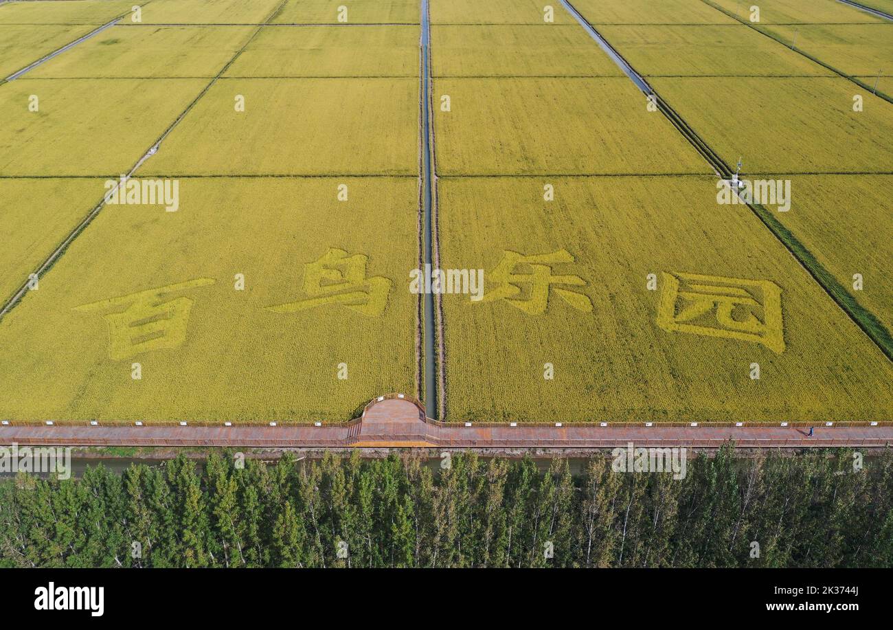 (220925) -- SHIJIAZHUANG, Sept. 25, 2022 (Xinhua) -- Aerial photo taken ...