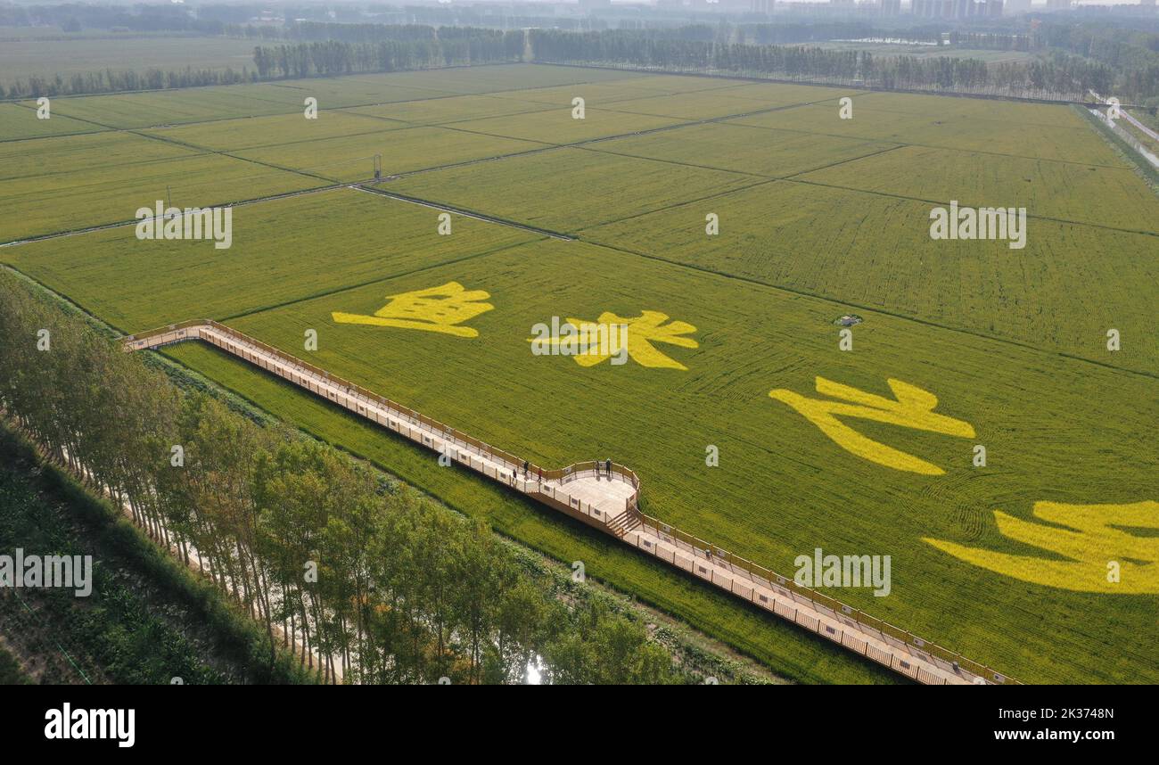 (220925) -- SHIJIAZHUANG, Sept. 25, 2022 (Xinhua) -- Aerial photo taken ...