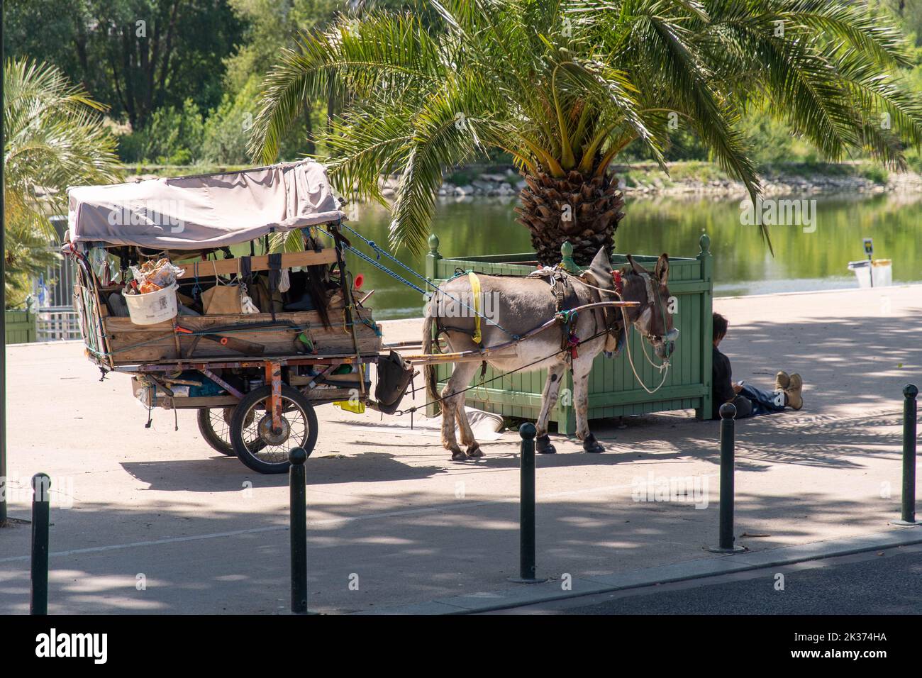 Donkey with trailer hi-res stock photography and images - Alamy