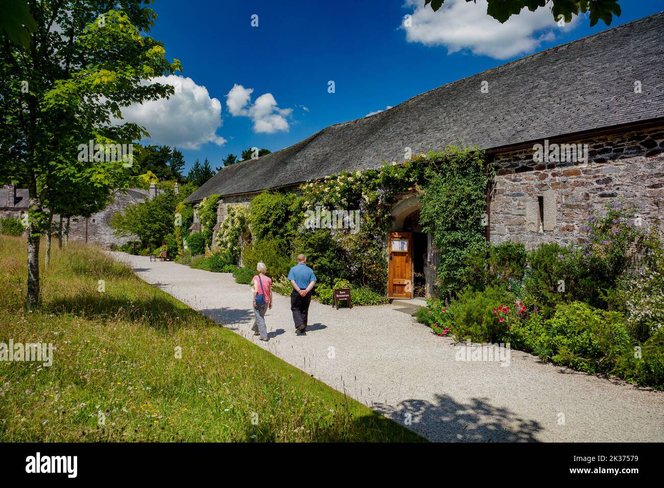 The Barn restaurant at the medieval tudor manor house at Cothele, nr ...