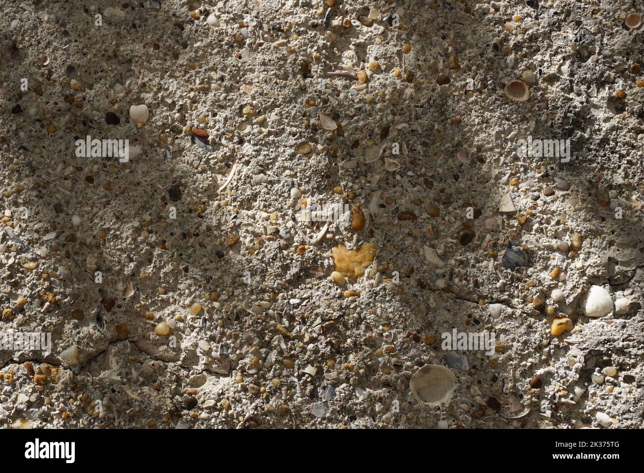 an old wall surface, there are also seashells on the wall plaster Stock ...