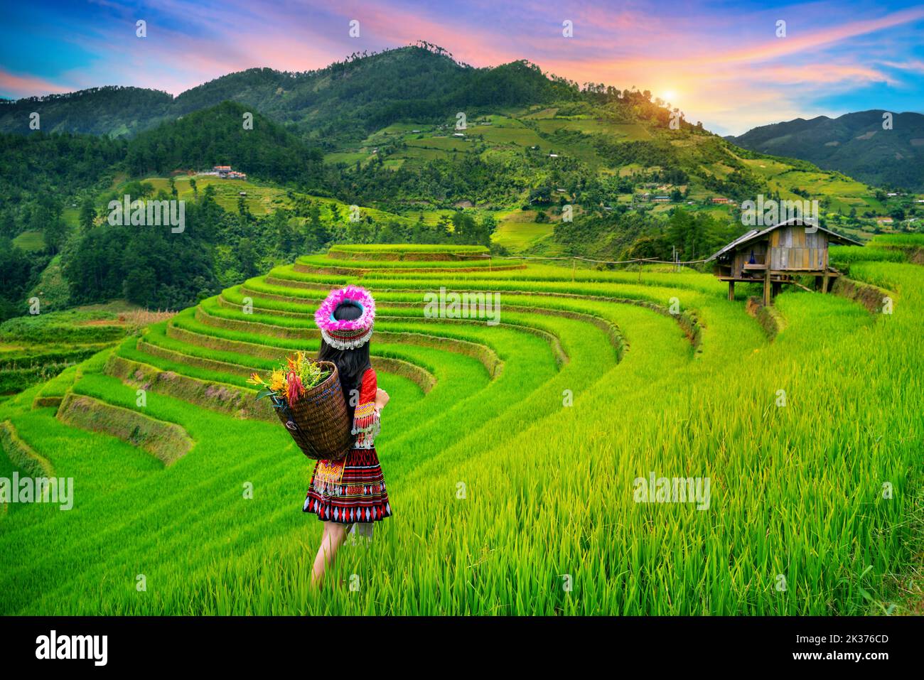 Hmong ethnic minority standing on rice terraces in Mu Cang Chai, Yen ...