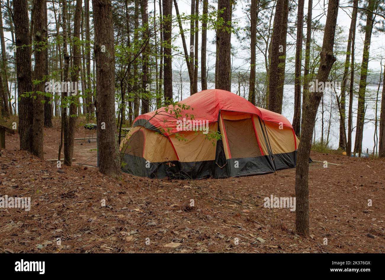 Yellow and orange two room tent pitched in North Carolina Stock Photo ...
