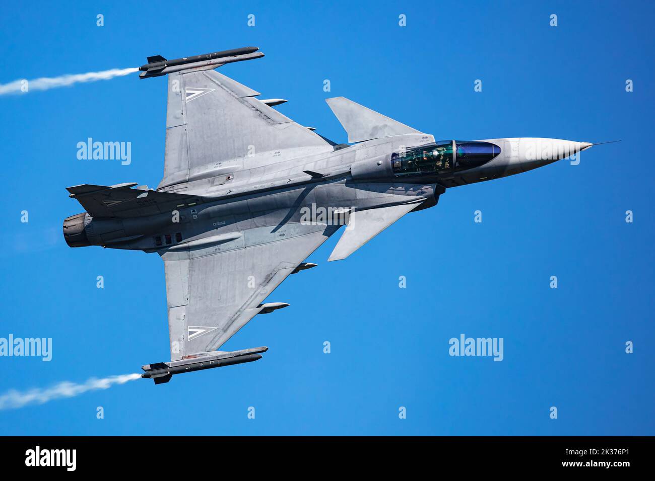Gripen Fighter