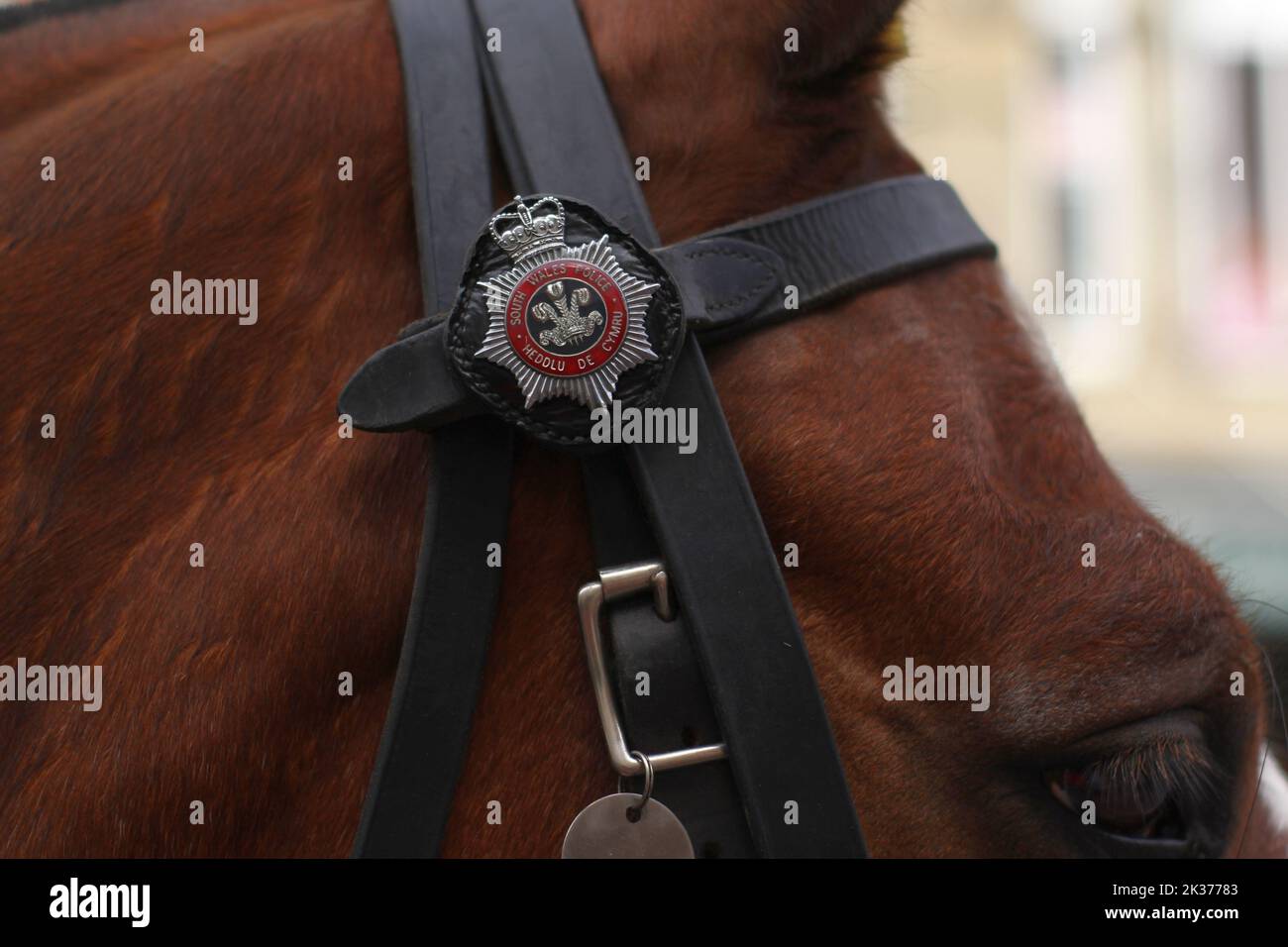 Uk police logo hi-res stock photography and images - Alamy
