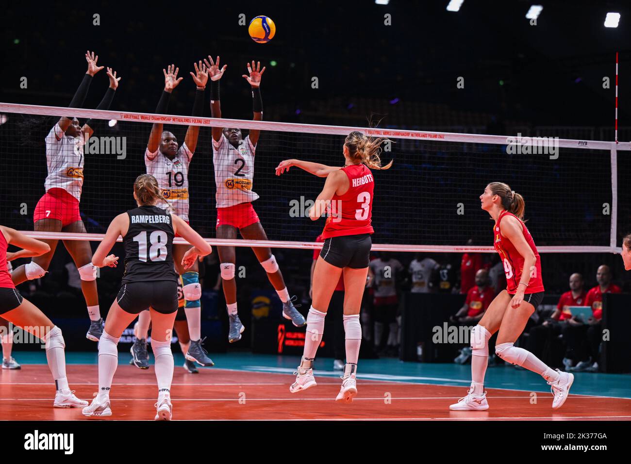 Illustration picture taken during a volleyball game between Belgian ...