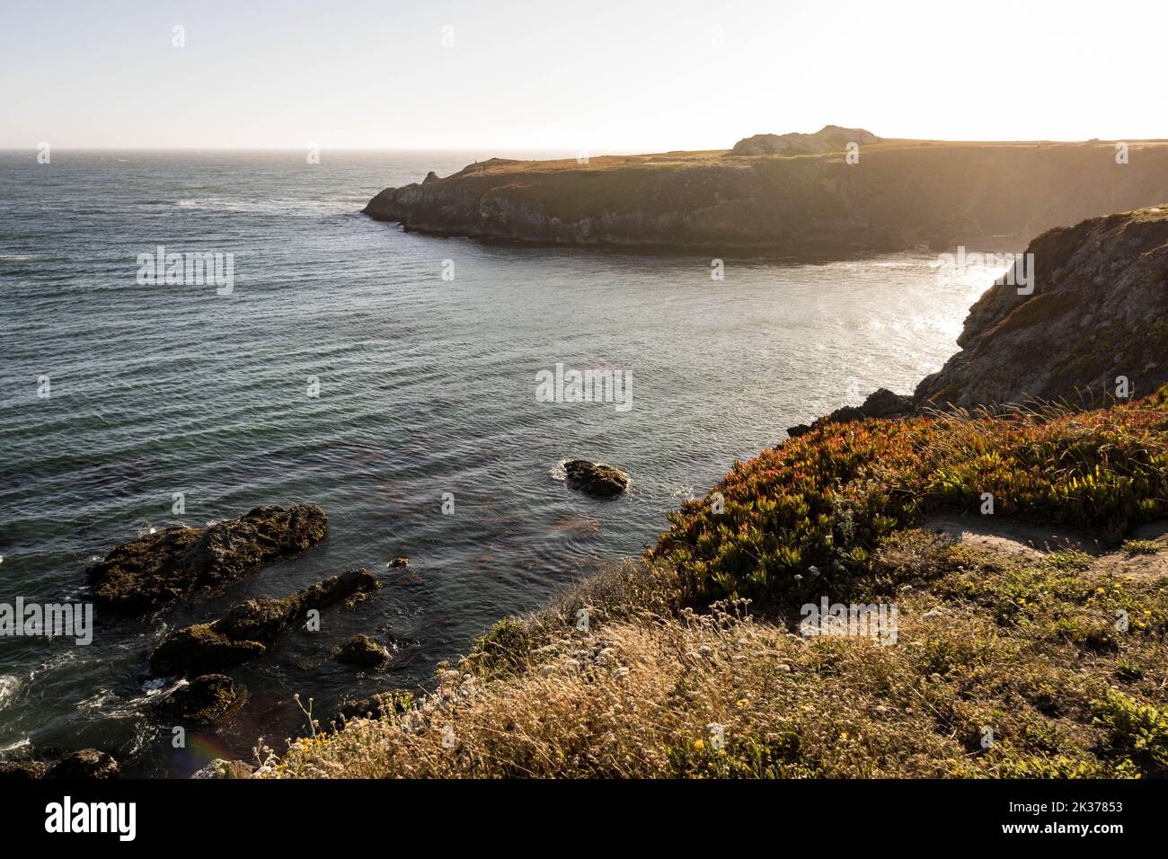 The mesmerizing view of the coastline of ocean surrounded by rocky ...