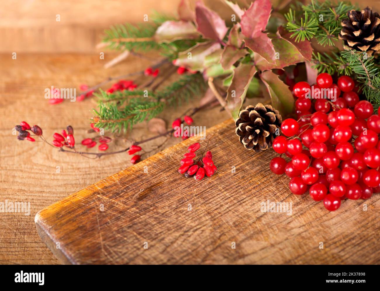 branches of holly, pine cones, mountain ash berries Stock Photo - Alamy