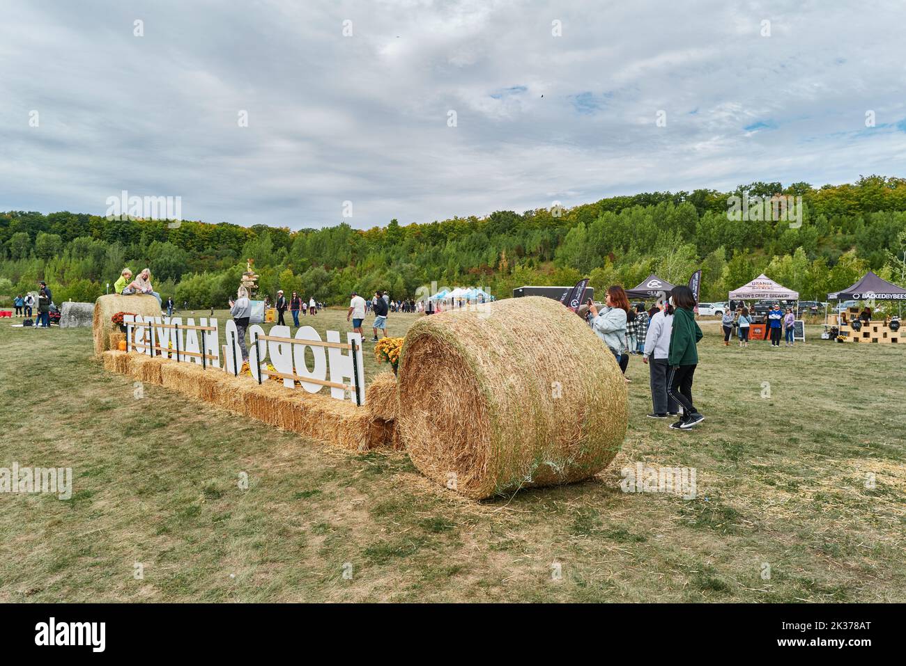 Craft beer festival Stock Photo - Alamy