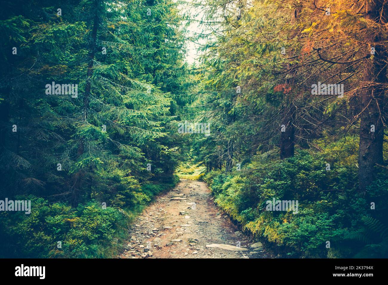 Relax adventure hi-res stock photography and images - Alamy