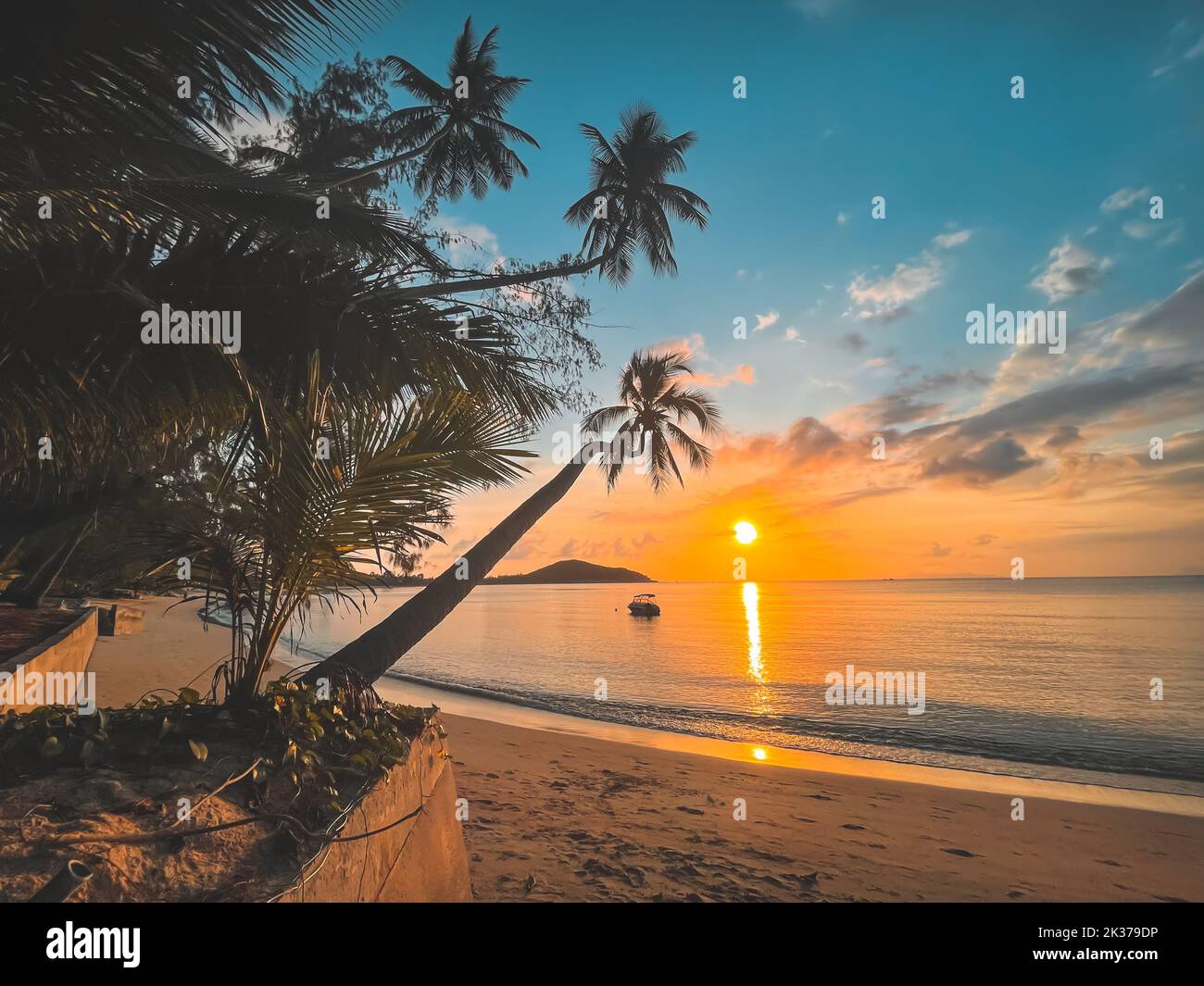 Golden tropical island sunset landscape, palm trees silhouette against ...