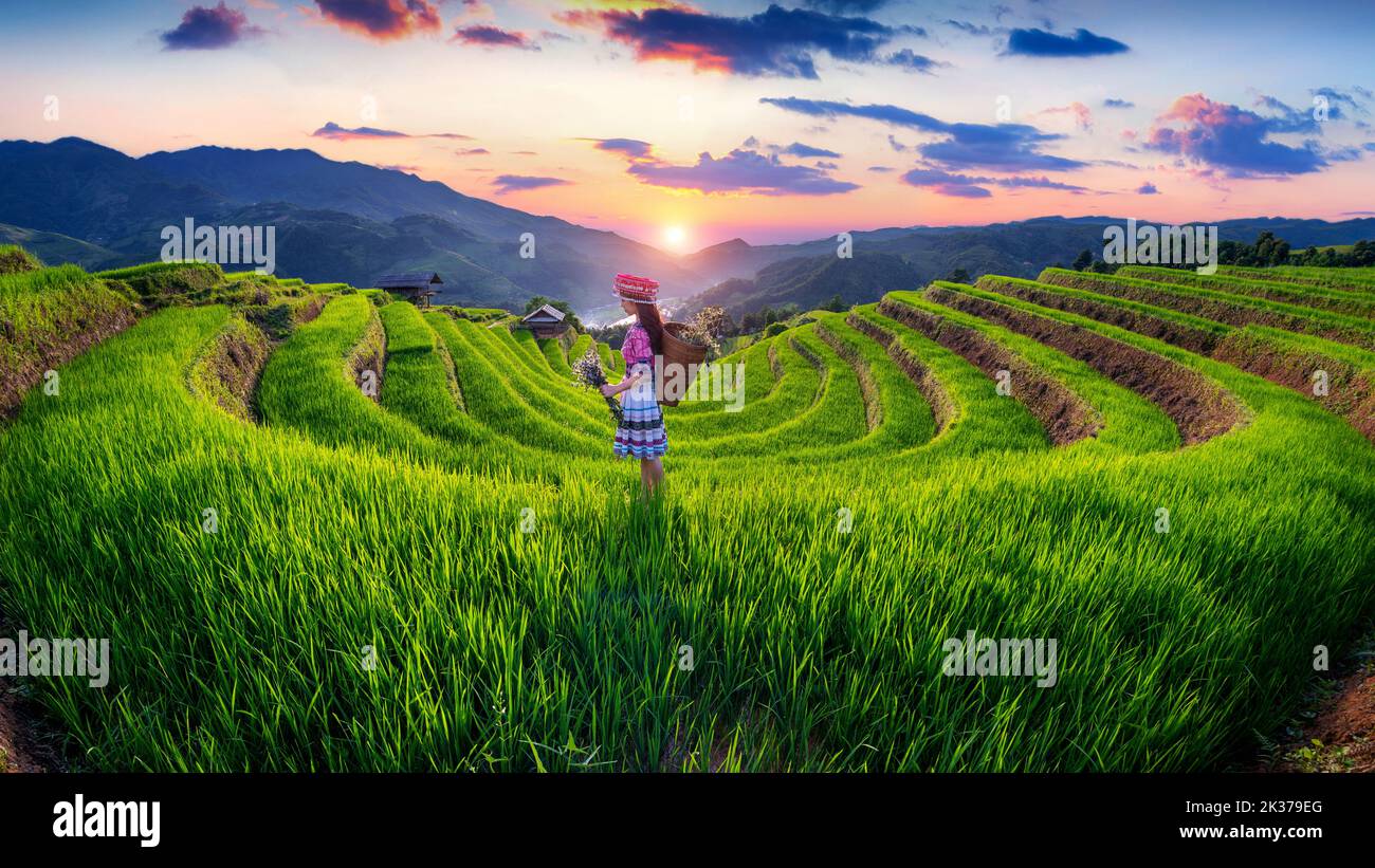 Hmong ethnic minority women standing on rice terraces in Mu Cang Chai ...