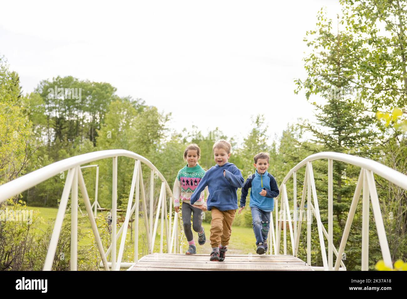 Bridge in forest hi-res stock photography and images - Alamy