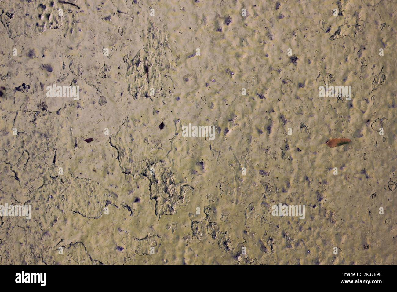 Painted concrete surface with pockmarks Stock Photo - Alamy