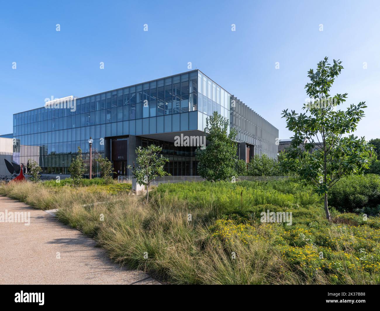 Weil Hall at Washington University in St. Louis Stock Photo - Alamy