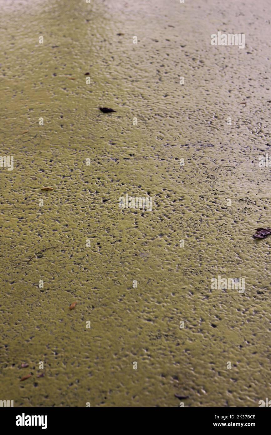 Pockmarks hi-res stock photography and images - Alamy